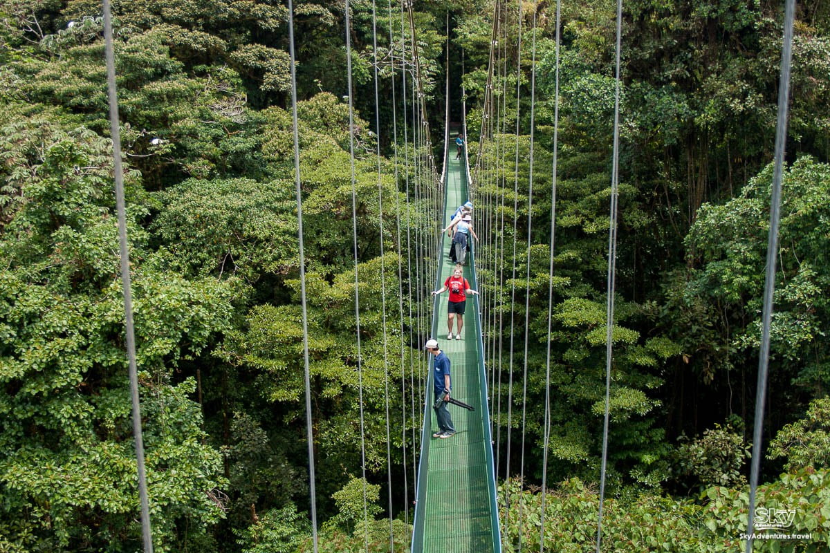 Sky Walk | Costa Rica Shore Excursions